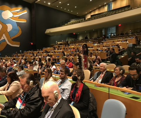 Quaker work at the United Nations Permanent Forum on Indigenous Issues ...